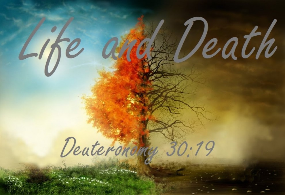 Daily RCL Bible Reading Devotional – February 19th, 2016 – Dust Off The ...