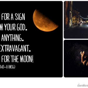 Daily RCL Bible Reading Devotional – April 20th, 2016 – Dust Off The Bible