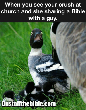 Mid-Week Christian Memes – Dust Off The Bible