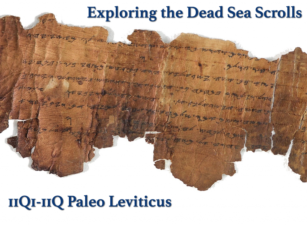 Biblical Archaeology: Exploring The Dead Sea Scrolls (Paleo Leviticus ...