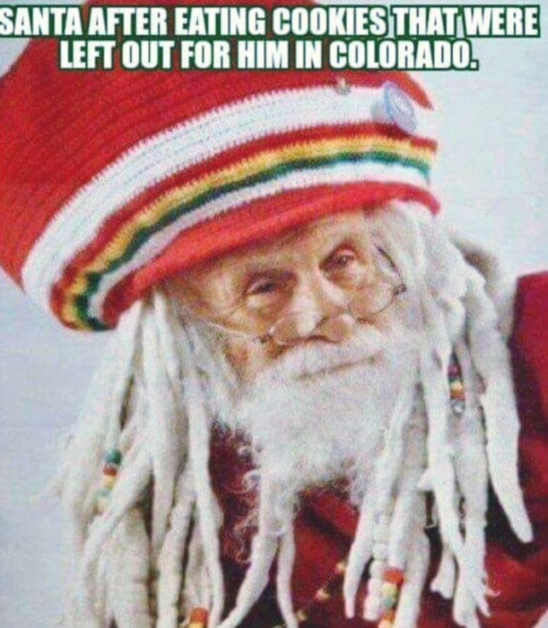 Christmas Memes: 2016 [2nd round] – Dust Off The Bible