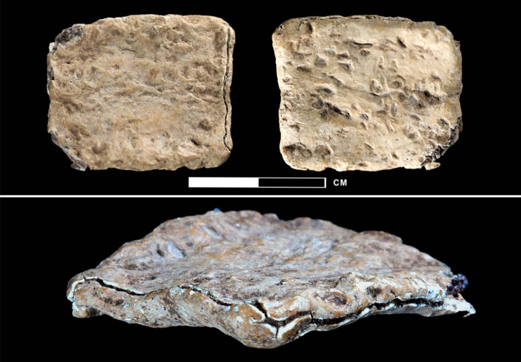 Ancient Proto-Canaanite Curse Inscription Discovered On Mt. Ebal ...